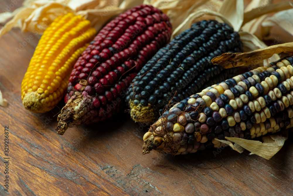 Poster mazorca de maiz organico mexicano latinoamerica alimento ...