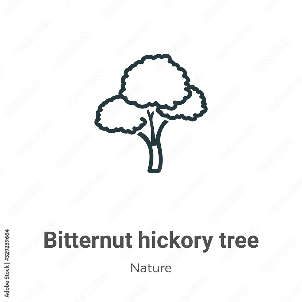 Bitternut hickory tree outline vector icon. Thin line black bitternut ...