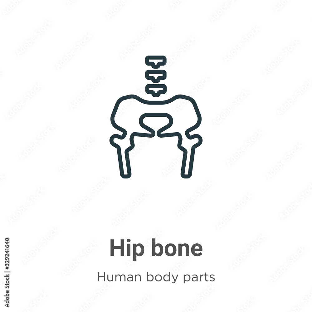 Hip bone outline vector icon. Thin line black hip bone icon, flat ...
