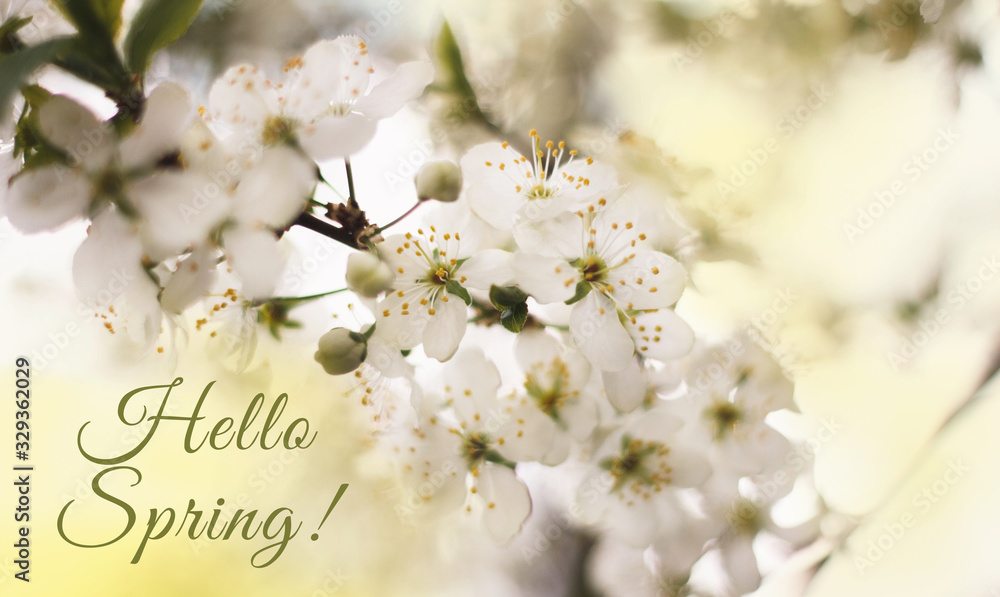 Hello spring text fresh sign. Stylish floral gretting card or poster ...