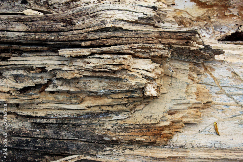 Broken wood, wood. Old cracked wood texture. Stock Photo | Adobe Stock