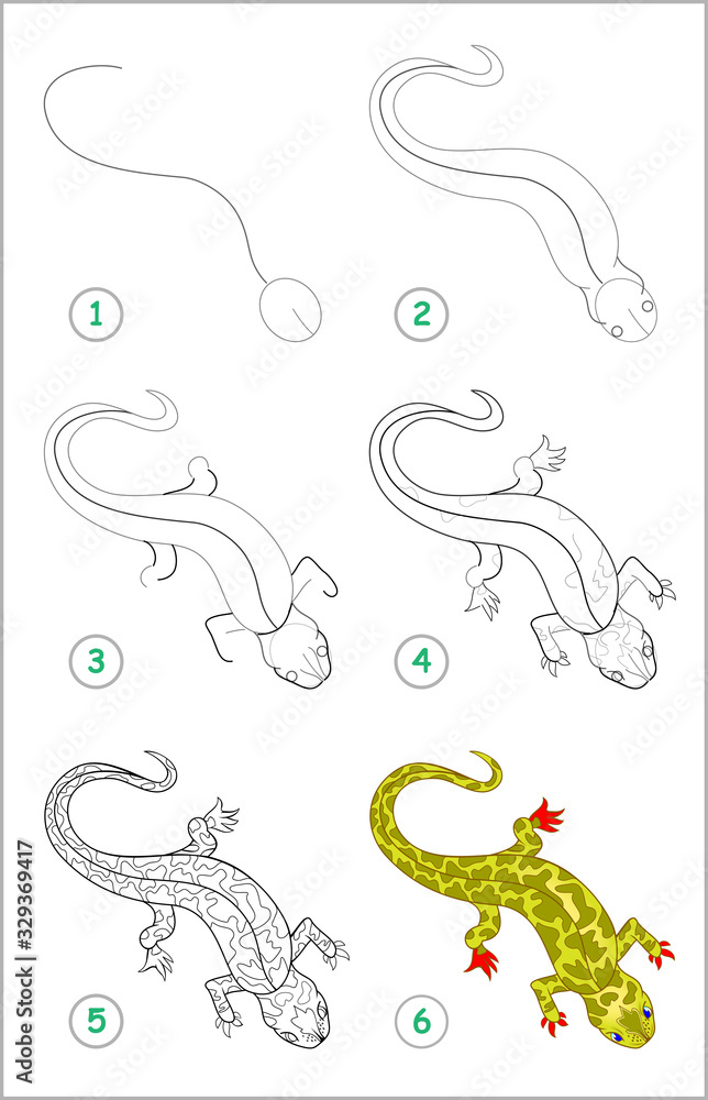 Lizard Drawing For Kids