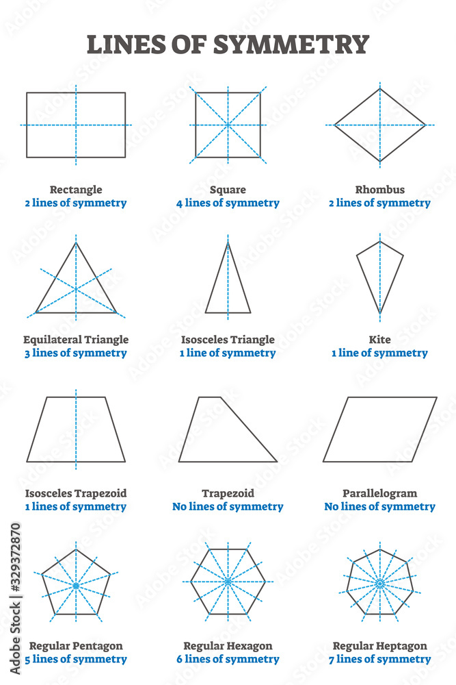 Lines of symmetry guide, vector illustration collection Stock Vector ...