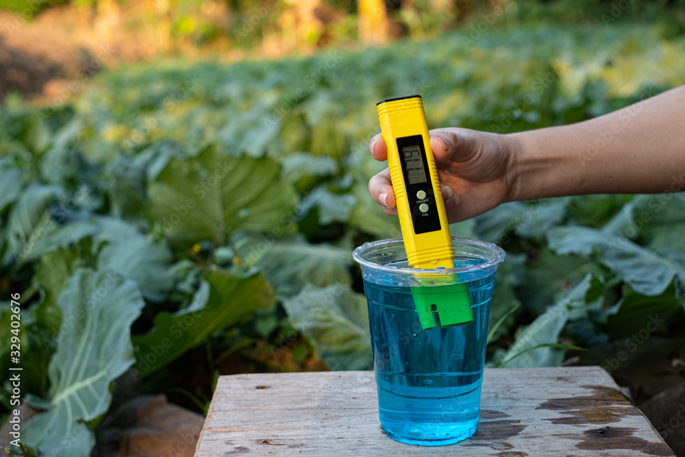 Measure liquid fertilizer in a cup with a digital PH meter neutral ...