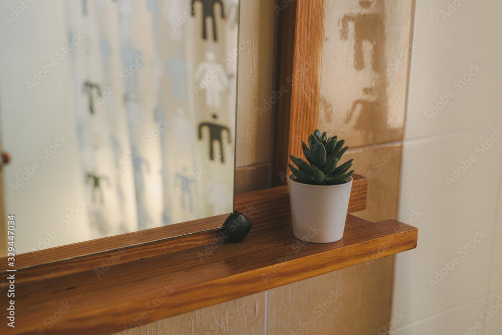 Pequeño cactus en el baño y espejo donde se ve reflejado la cortina ...