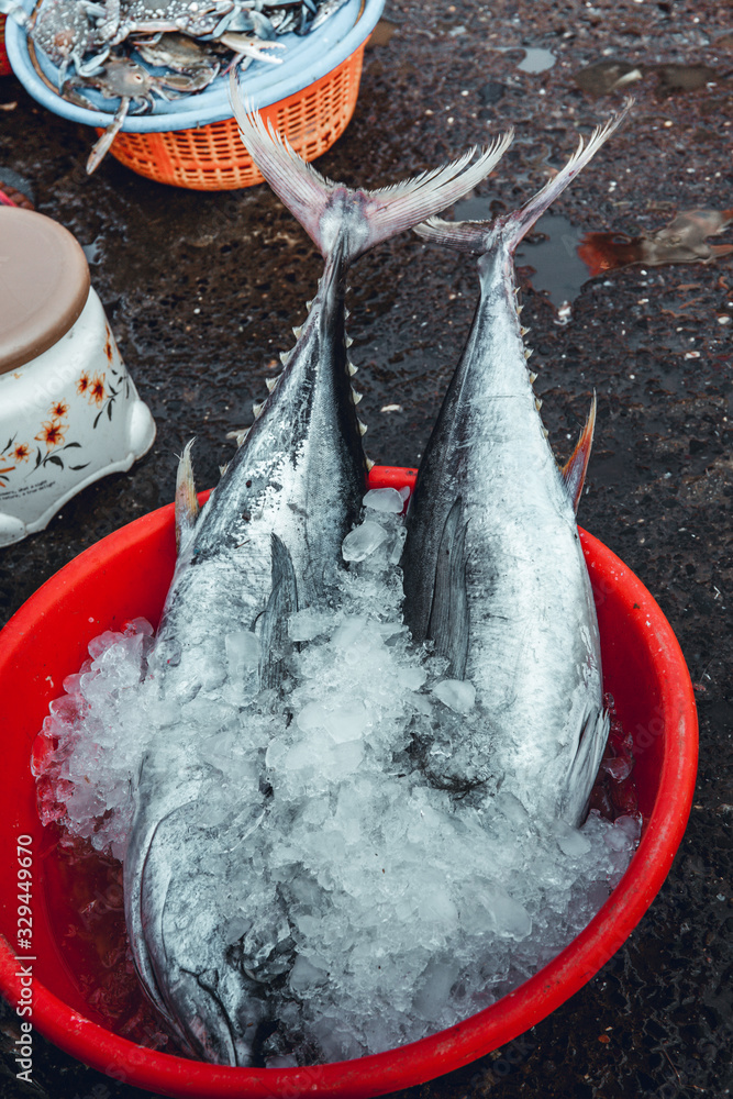The famous Sassoon Docks Fish Market in Mumbai, India. Two fish resting ...