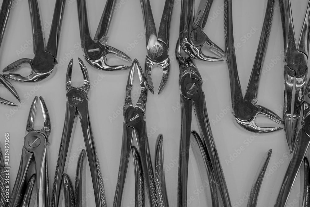 Teeth extraction forceps. Chrome metal tool on a white background. Used ...