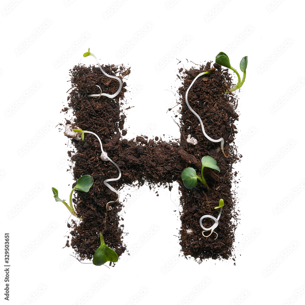 Letter of the English alphabet isolated on white background. The ...