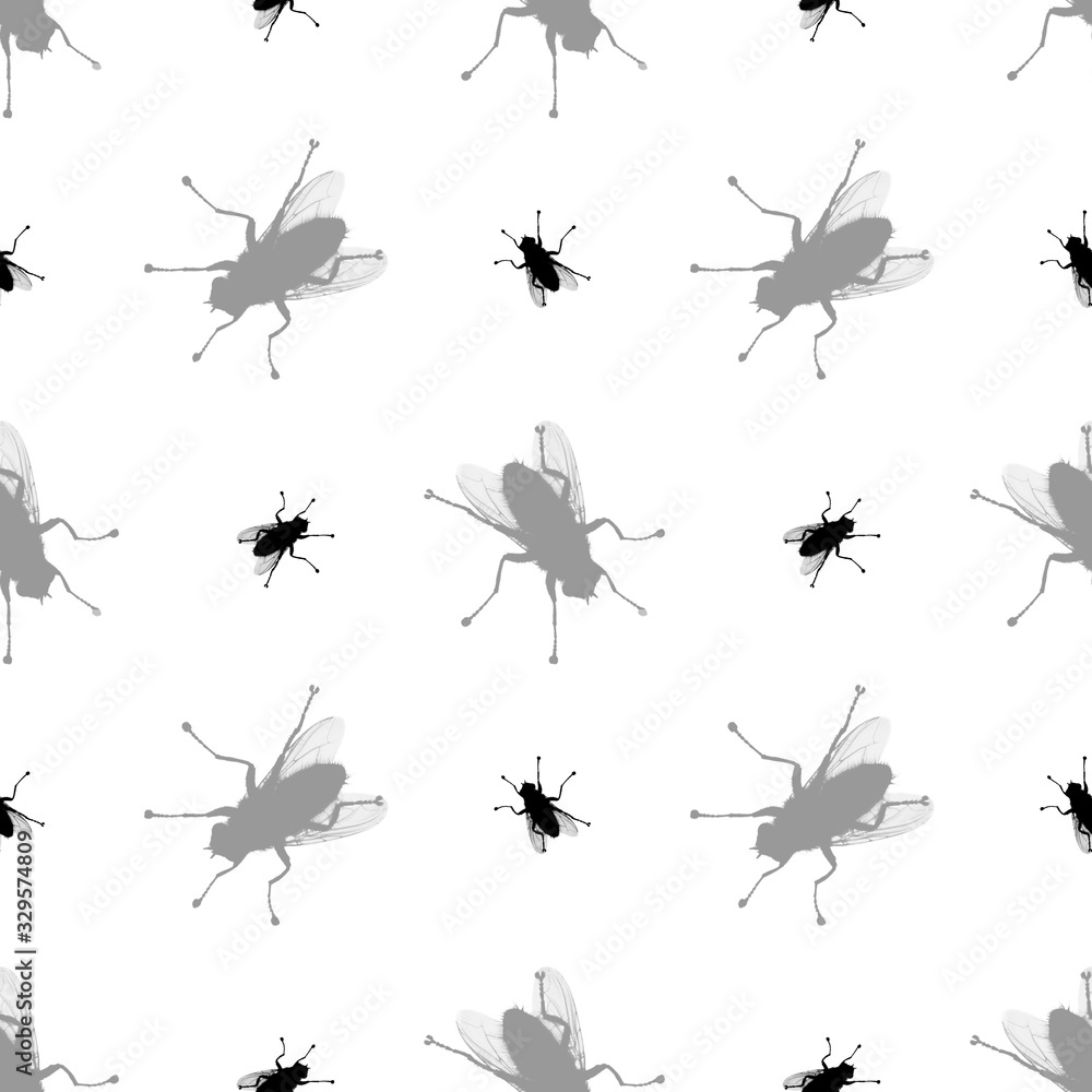 Seamless pattern black fly silhouette isolated, white background ...