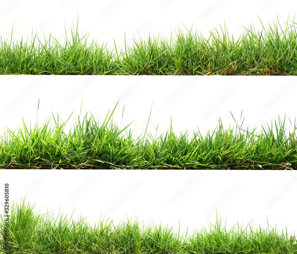green grass isolate on white background Stock Photo | Adobe Stock