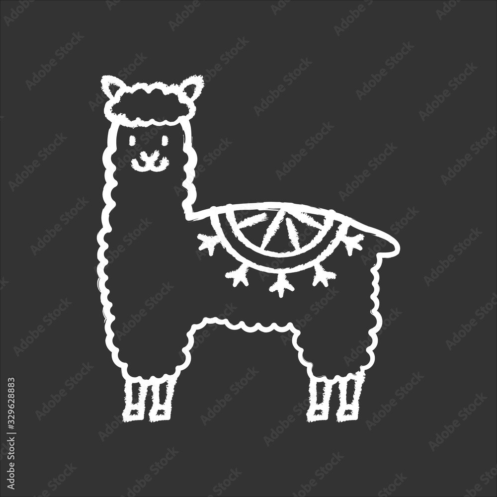 Alpaca chalk white icon on black background. Peruvian domesticated ...