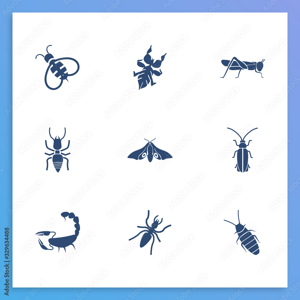 Insects icon set and firefly with poisonous, leaf insect and eyed hawk ...