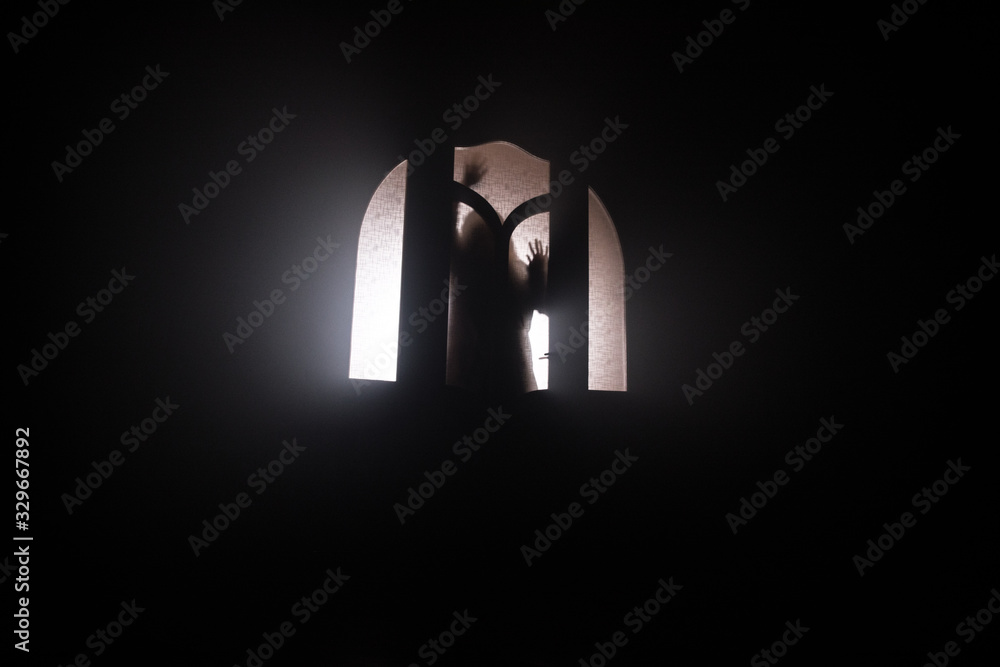 Silhouette of an unknown shadow figure on a door through a closed glass ...
