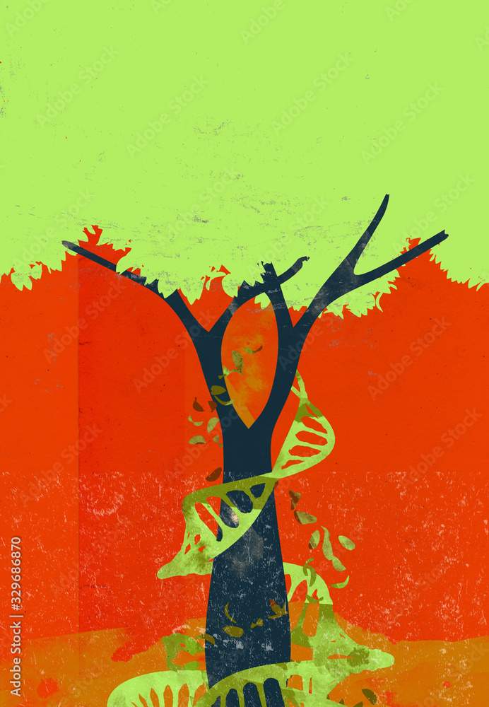 A DNA string growing surronding a tree. A DNA string and a tree ...