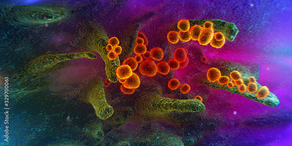 Scanning electron microscope image shows SARS-CoV-2, 2019-nCoV, the ...