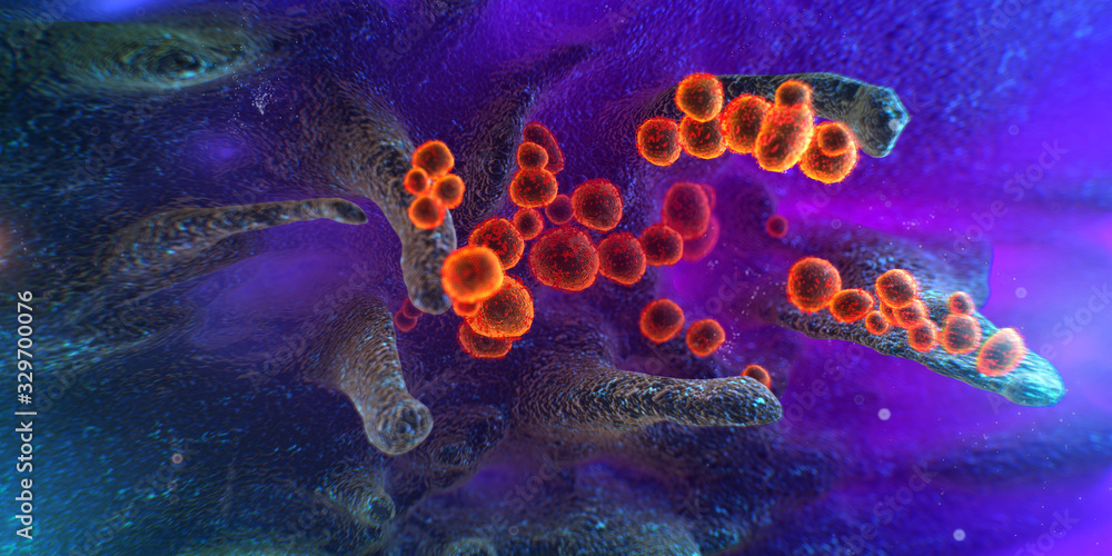 Scanning electron microscope image shows SARS-CoV-2, 2019-nCoV, the ...