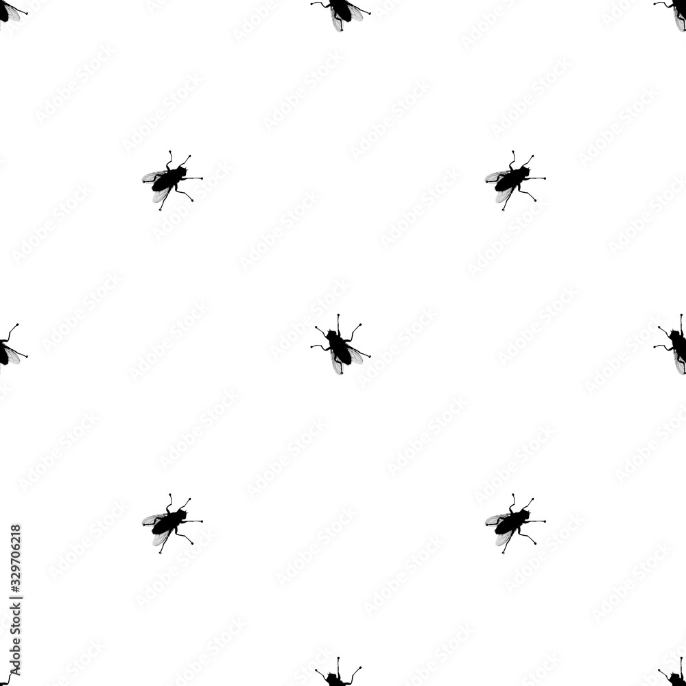 Seamless pattern black fly silhouette isolated, white background ...