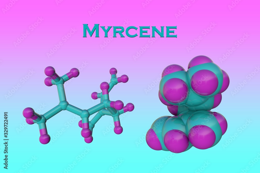 Structural chemical formula and molecular model of myrcene, the most ...
