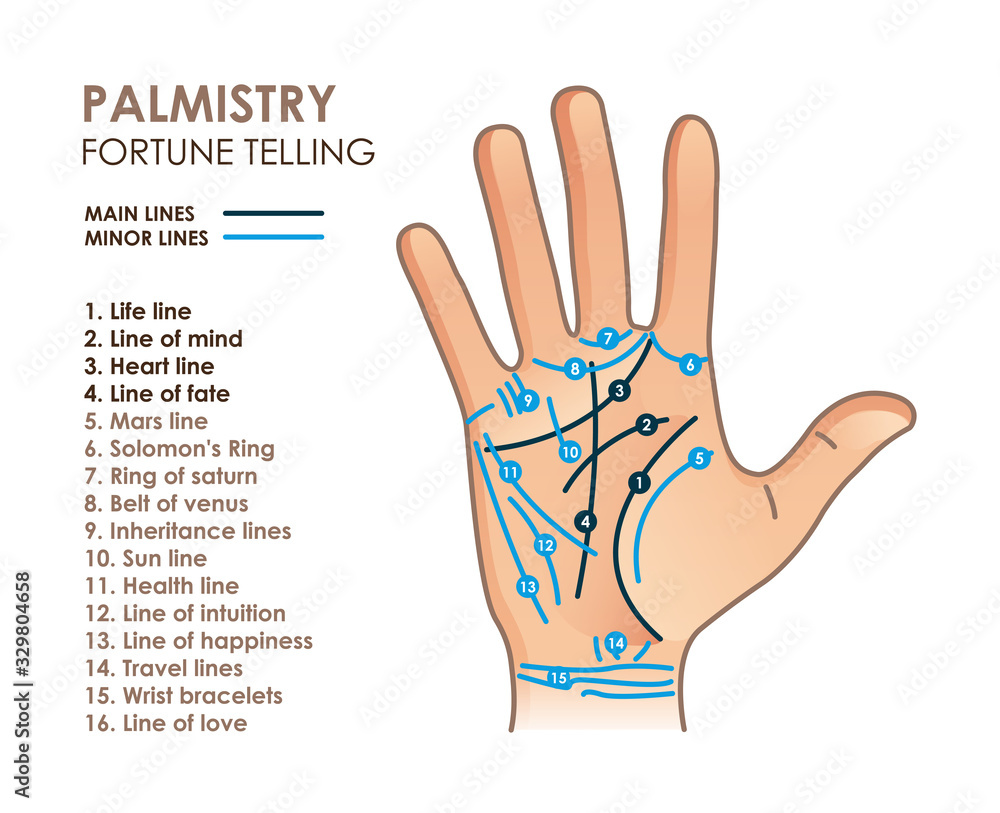 Palmistry. Hand with main and secondary lines and symbols Stock Vector ...