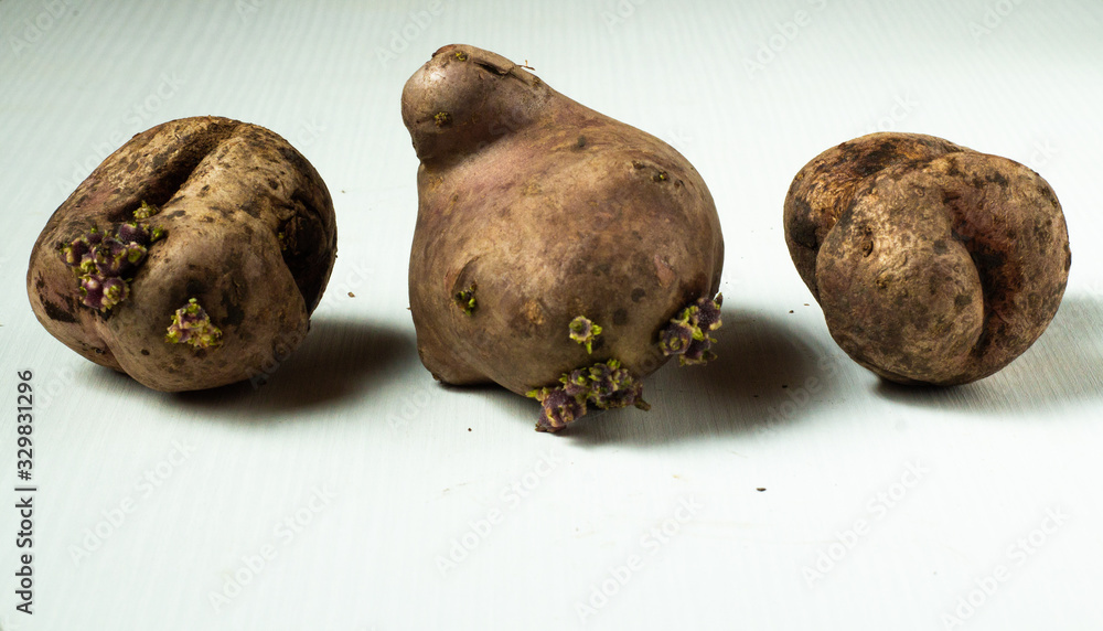 Several ugly potatoes on a white background. The concept of store ...