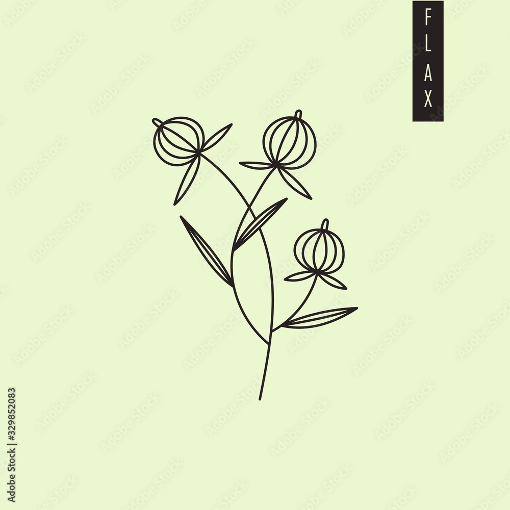 Vector illustration of cultivated dry flax plant with seeds in outline ...