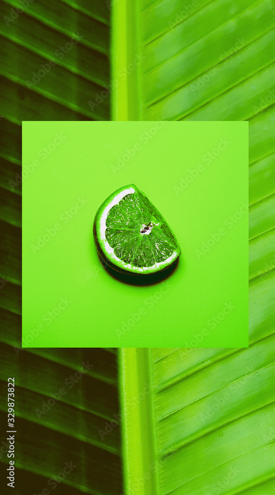 Fashion aesthetic moodboard. Green Fresh Lime. Minimal concept Stock ...