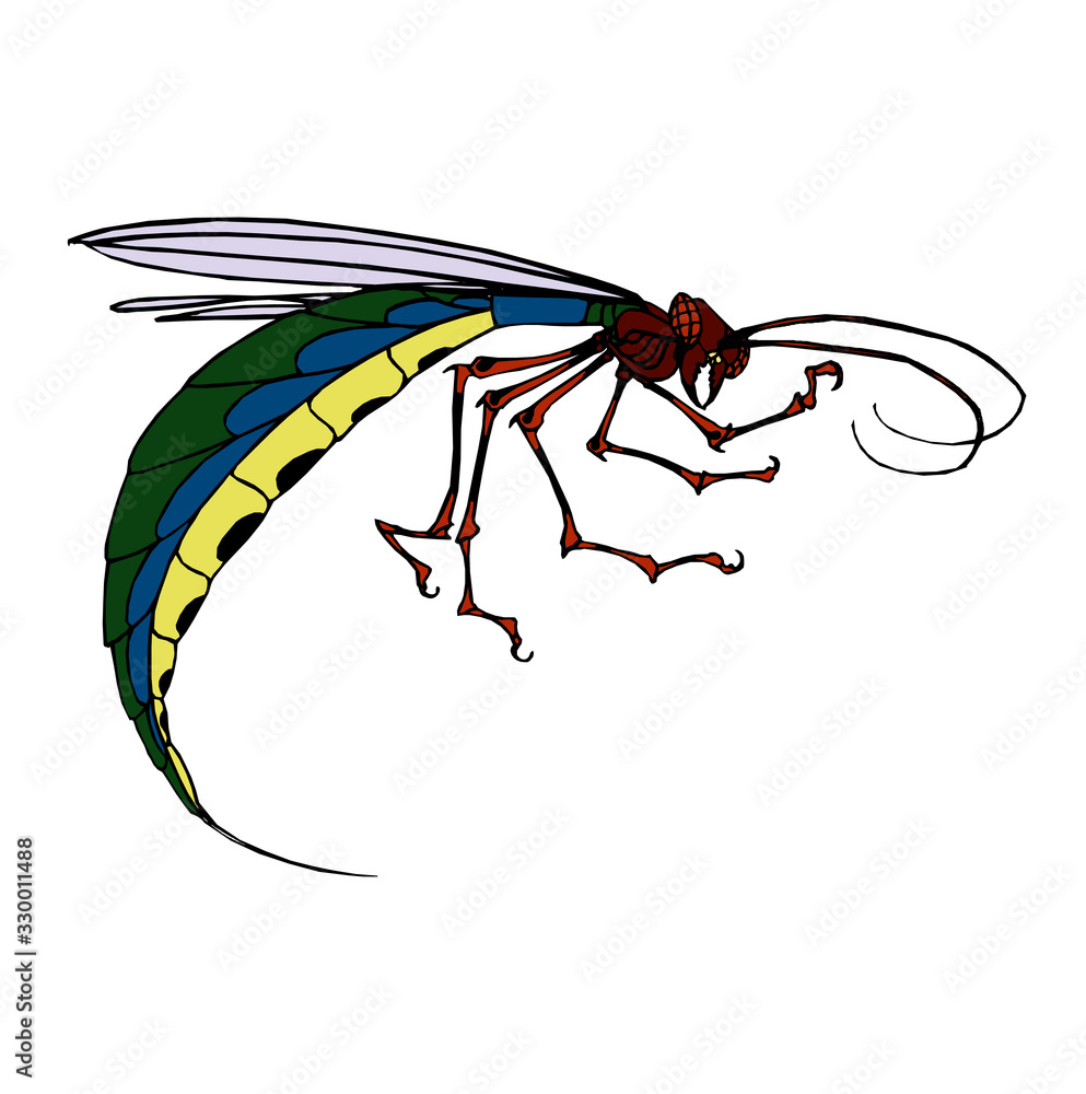 Vector illustration of an insect. Diagram with labeled parts of a wasp ...