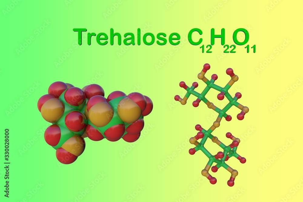 Trehalose sugar molecule. Also known as tremalose or mycose. It is a ...