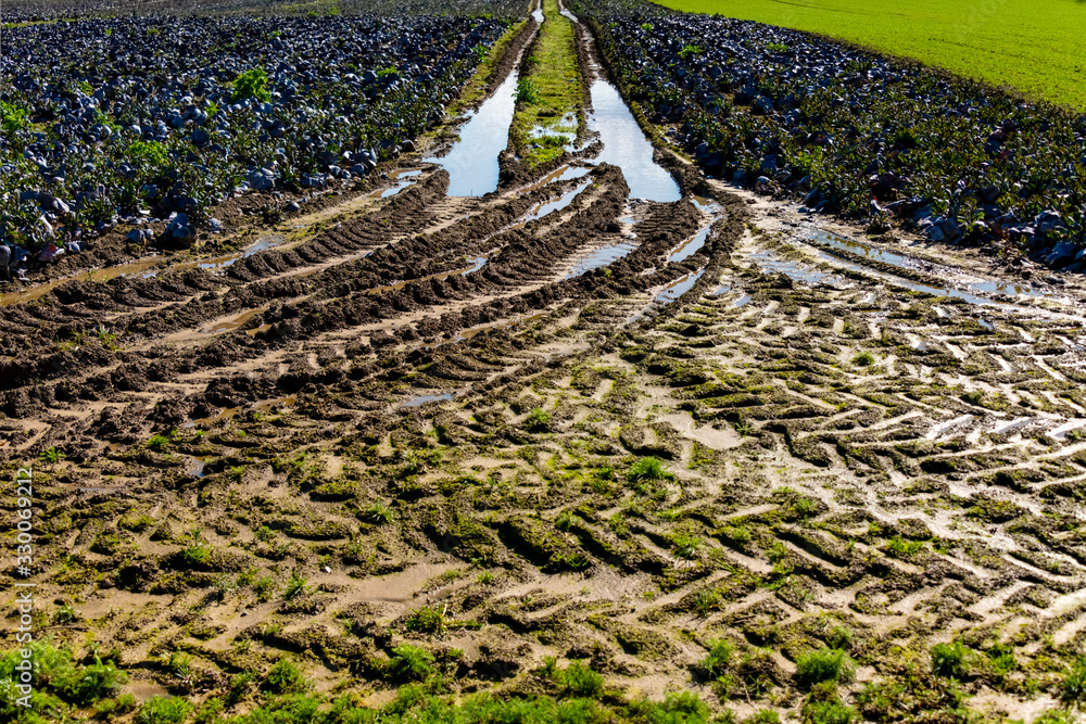 Spur Traktor Feld Landwirtschaft Regen Nässe Überflutung Trecker Ernte ...