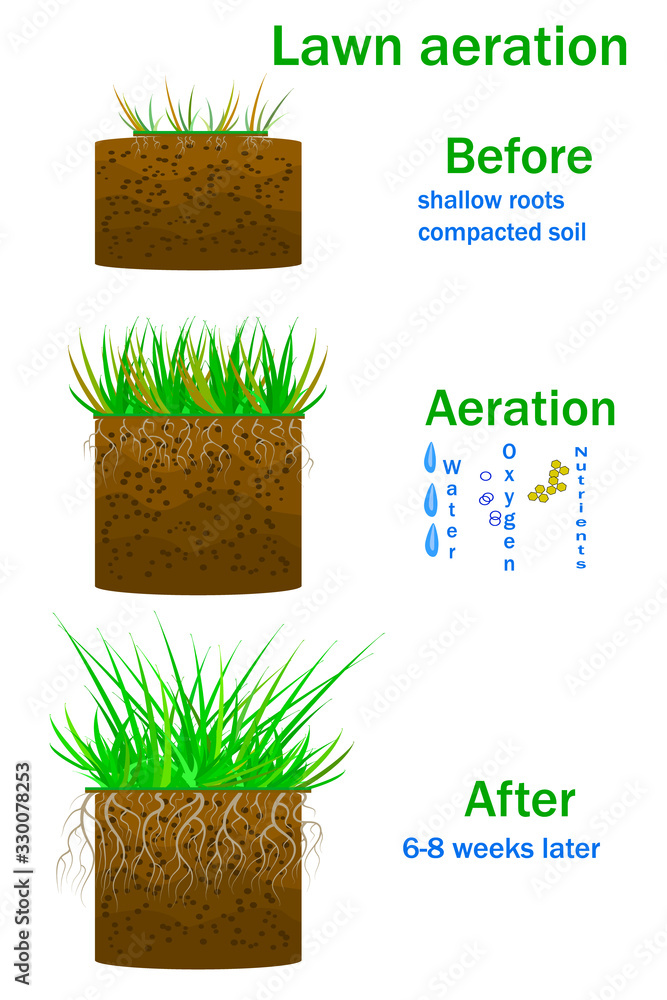 Lawn aeration infographics isolated on white background. Before and ...