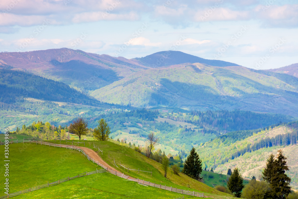 Grassy Hill With Trees