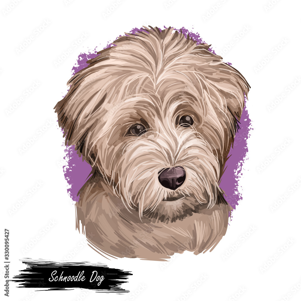 Schnoodle dog digital art illustration isolated on white. Stock ...