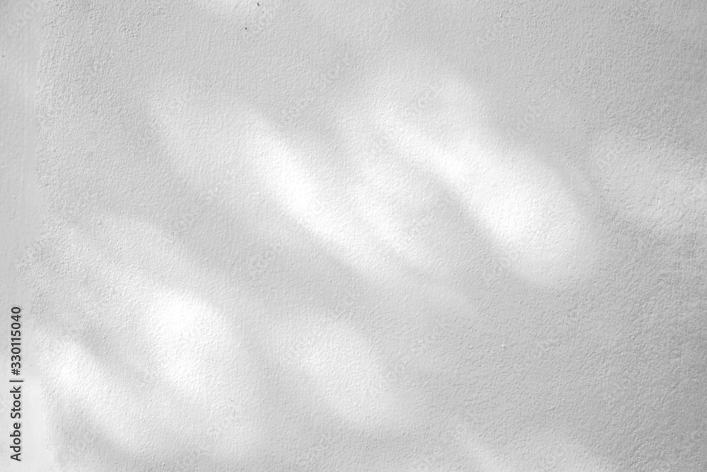 Abstract gray shadow background of leaves tree branch falling on white ...