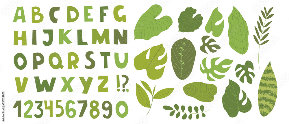 Vector green alphabet with tropical leaves, isolated on white. Cute ...