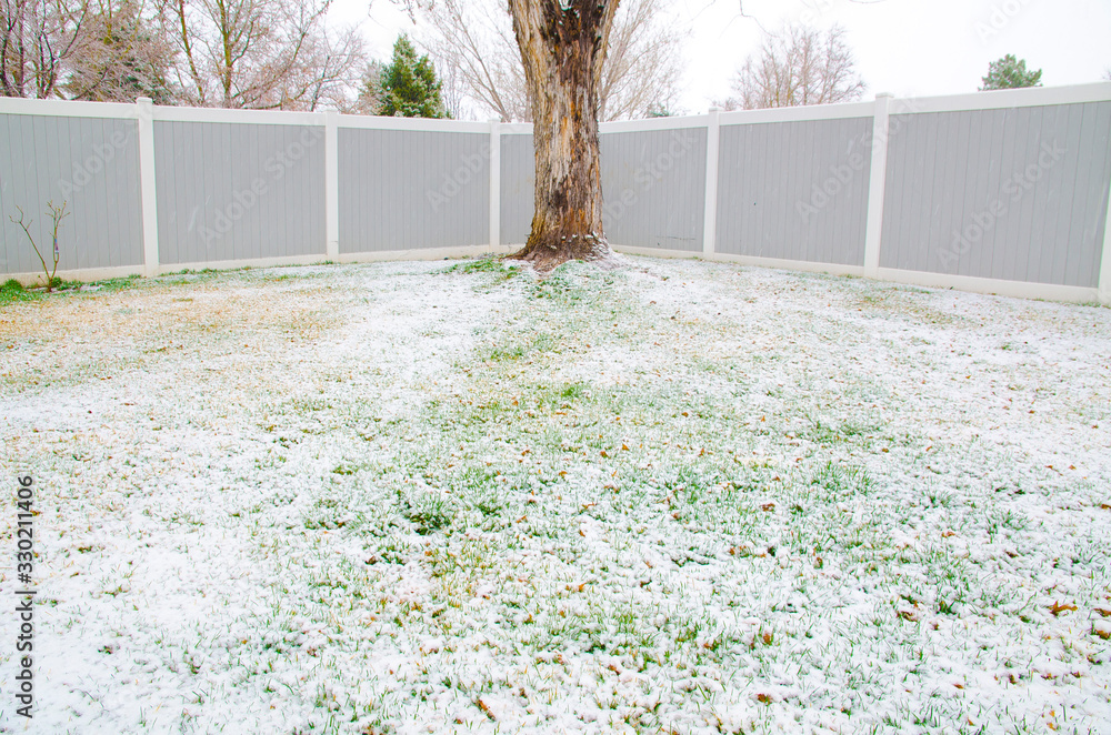 grass and snow, Spring, Spring snow, backyard, tree, Maple Tree, fence ...