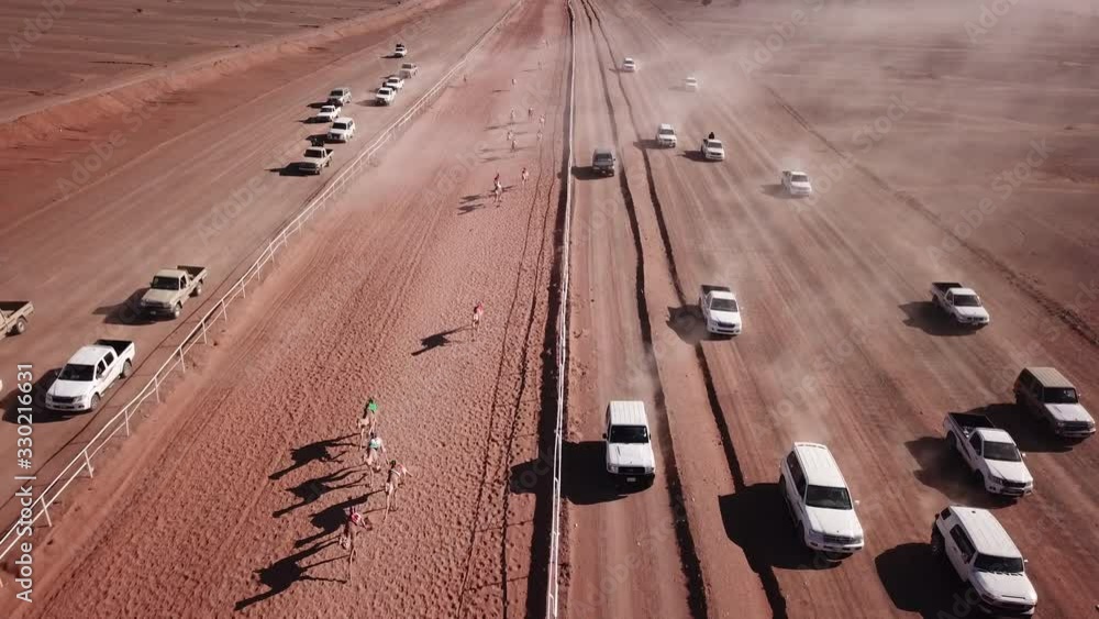 Tilting aerial footage of camel race competition with trainers coaching ...