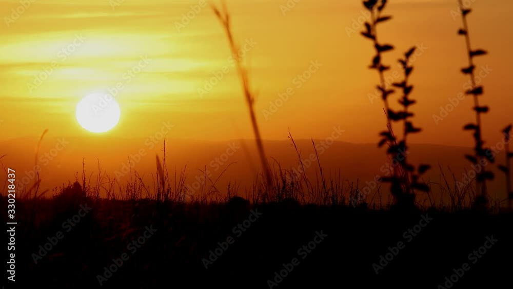 Stunning golden sunrise over the African savanna as sunlight fills the ...