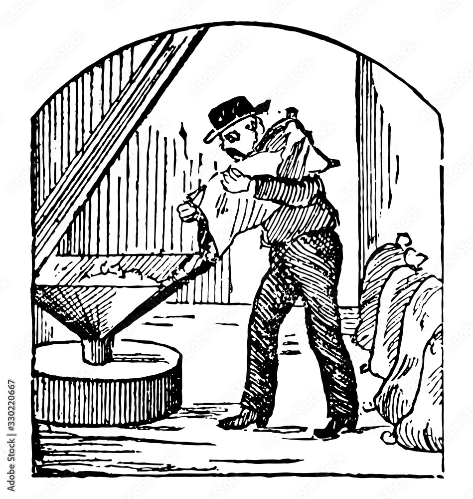 Miller, vintage illustration. Stock Vector | Adobe Stock