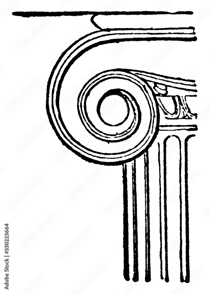 Volute of the Ionic Capital, spiral scroll used in Ionic, vintage ...