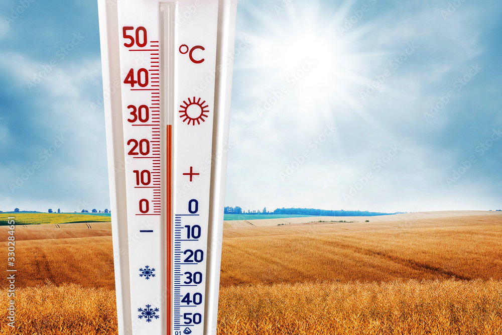 The thermometer on a wheat field background shows the temperature plus ...
