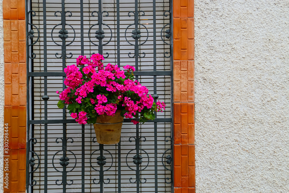 Un geranio de flores rosas en una ventana con rejas de una casa de ...