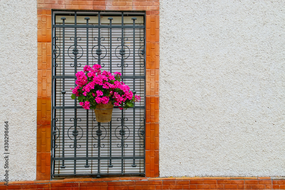 Un geranio de flores rosas en una ventana con rejas de una casa de ...