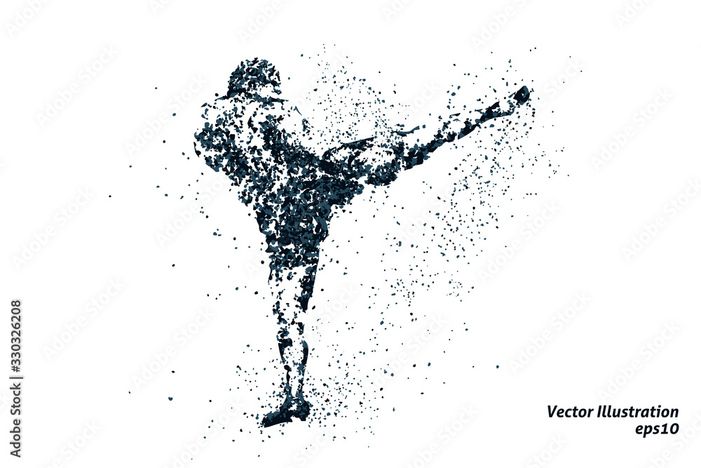 Kickboxing Silhouette