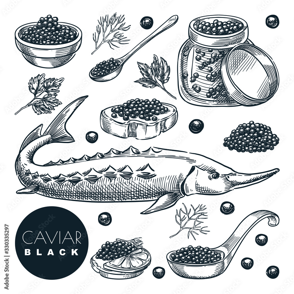 Delicious sturgeon fish black caviar, isolated on white background ...