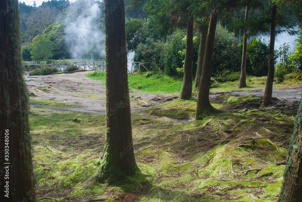 San Miguel island, Azores, known for its volcanic activity at Furnas ...