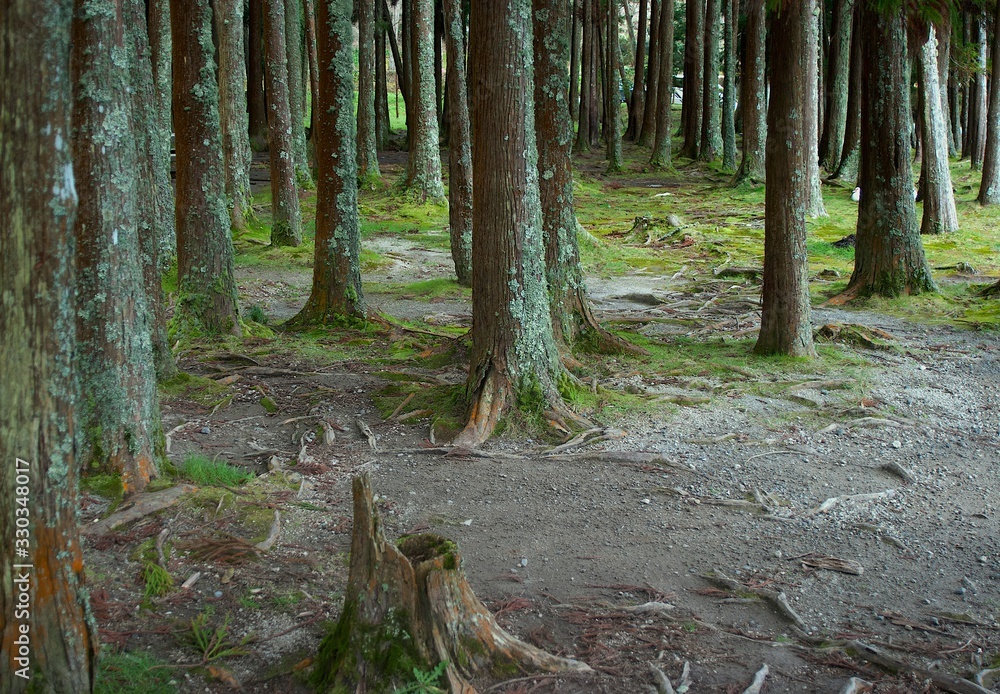 San Miguel island, Azores, known for its volcanic activity at Furnas ...