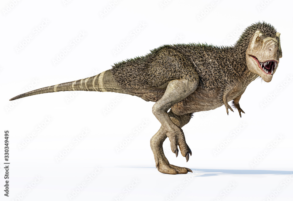 T-rex dinosaur with feathers. 3d rendering. Stock Illustration | Adobe ...