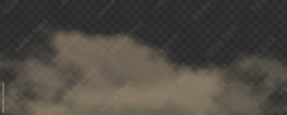 Dust rises with dirt particles. Dirty smoke texture or cloud of factory ...