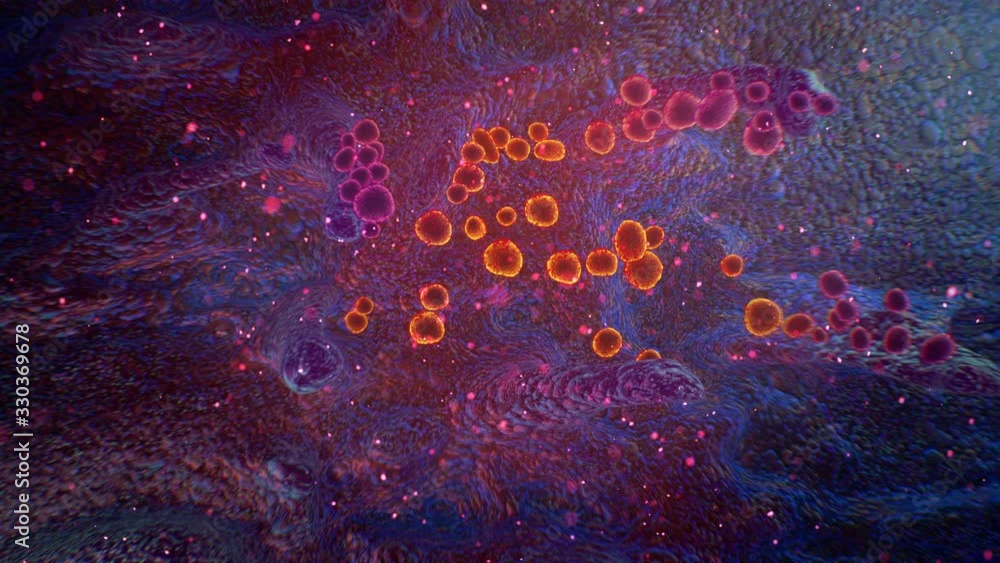 Scanning electron microscope image shows SARS-CoV-2, 2019-nCoV, the ...