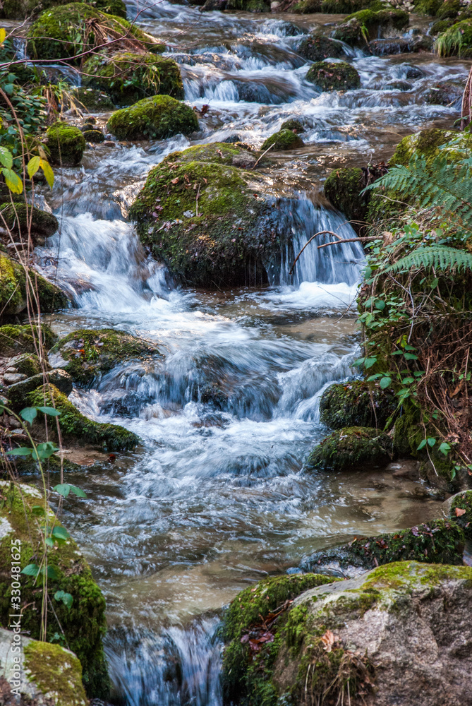 ruscello nel bosco Stock Photo | Adobe Stock
